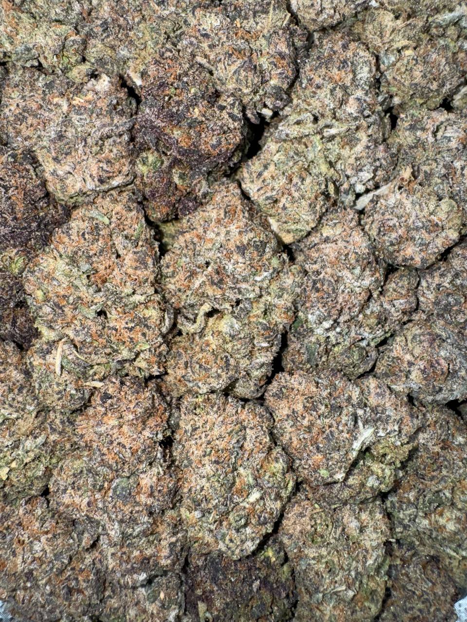 Flower - Cali Exotics