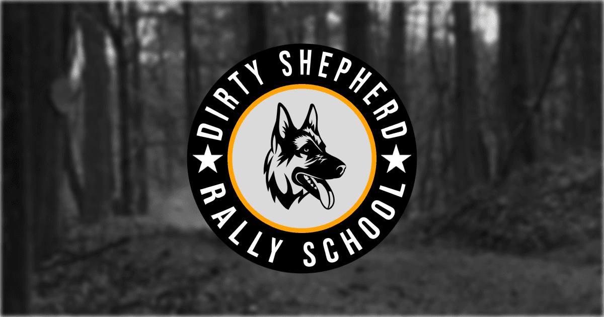 One Day Rally School