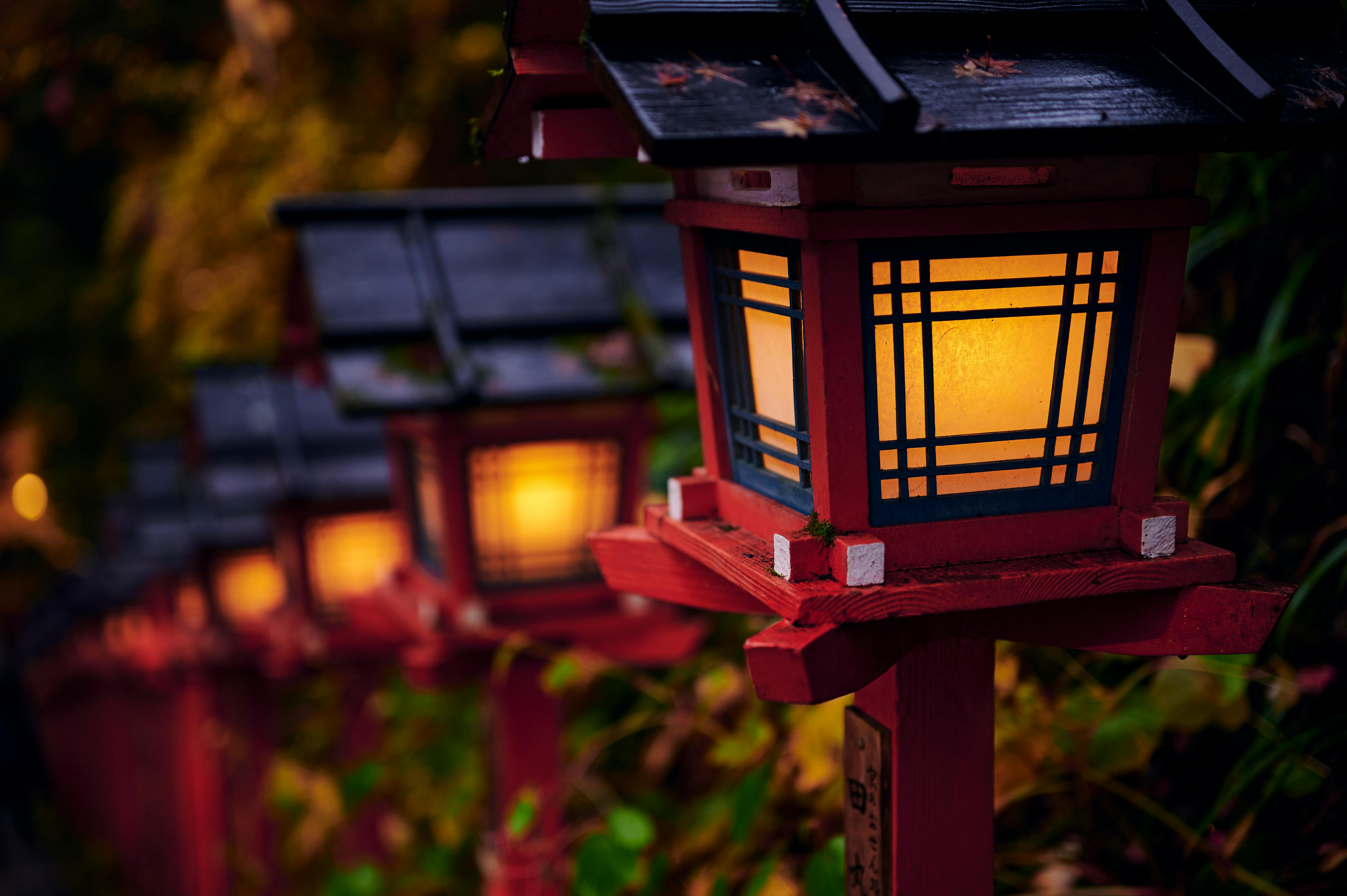 A Guide to Landscape Lighting | JellyFish Lighting | Permanent Outdoor ...