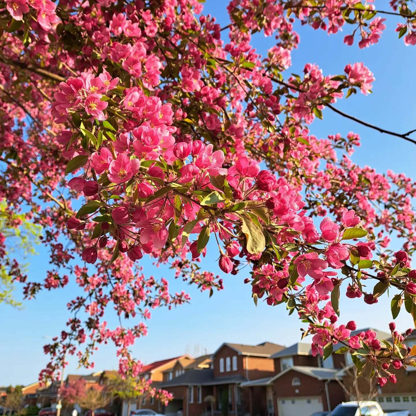 About Comfy Org | Powering Visual AI for Millions of Creators Worldwide