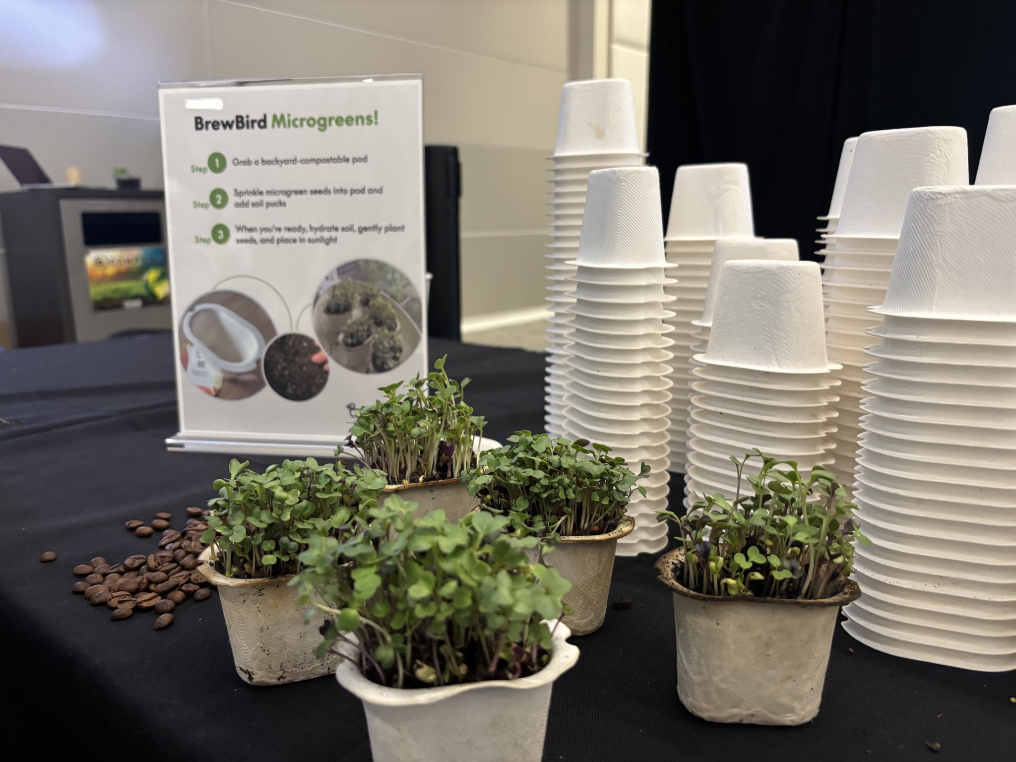 BrewBird - This Is Coffee, Transformed