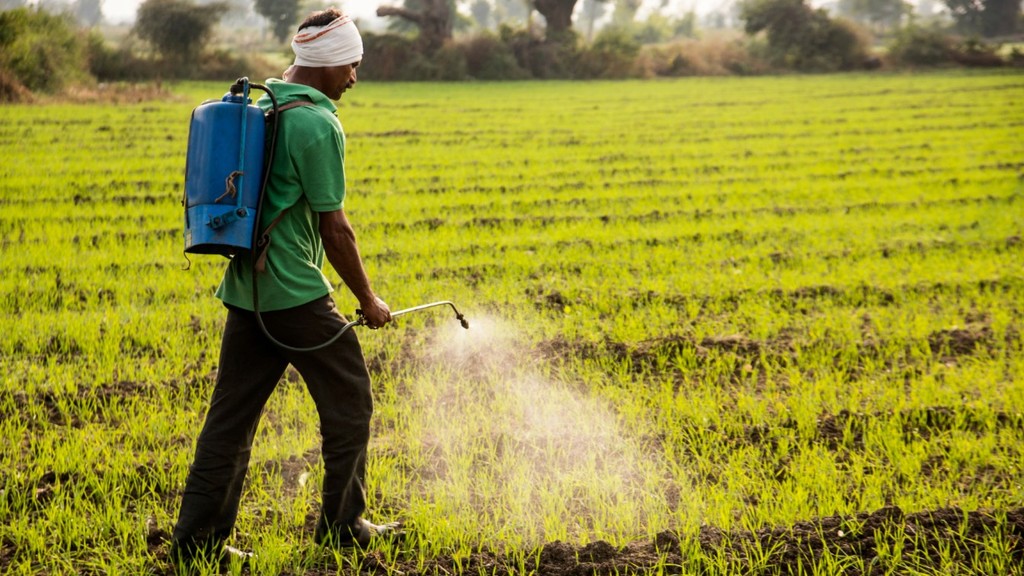 How to Use Foliar Spray Fertilizer Effectively - Leher