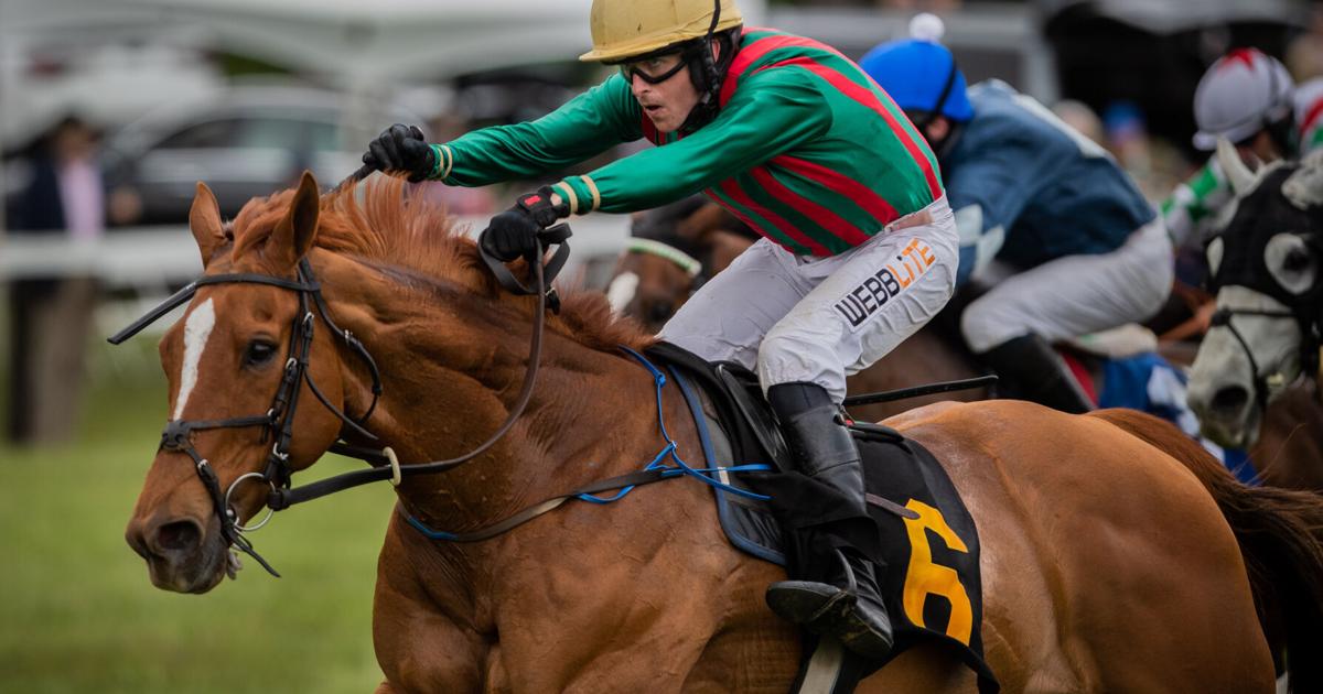 Foxfield Races - Visit Nelson 151 in Nelson County, Virginia