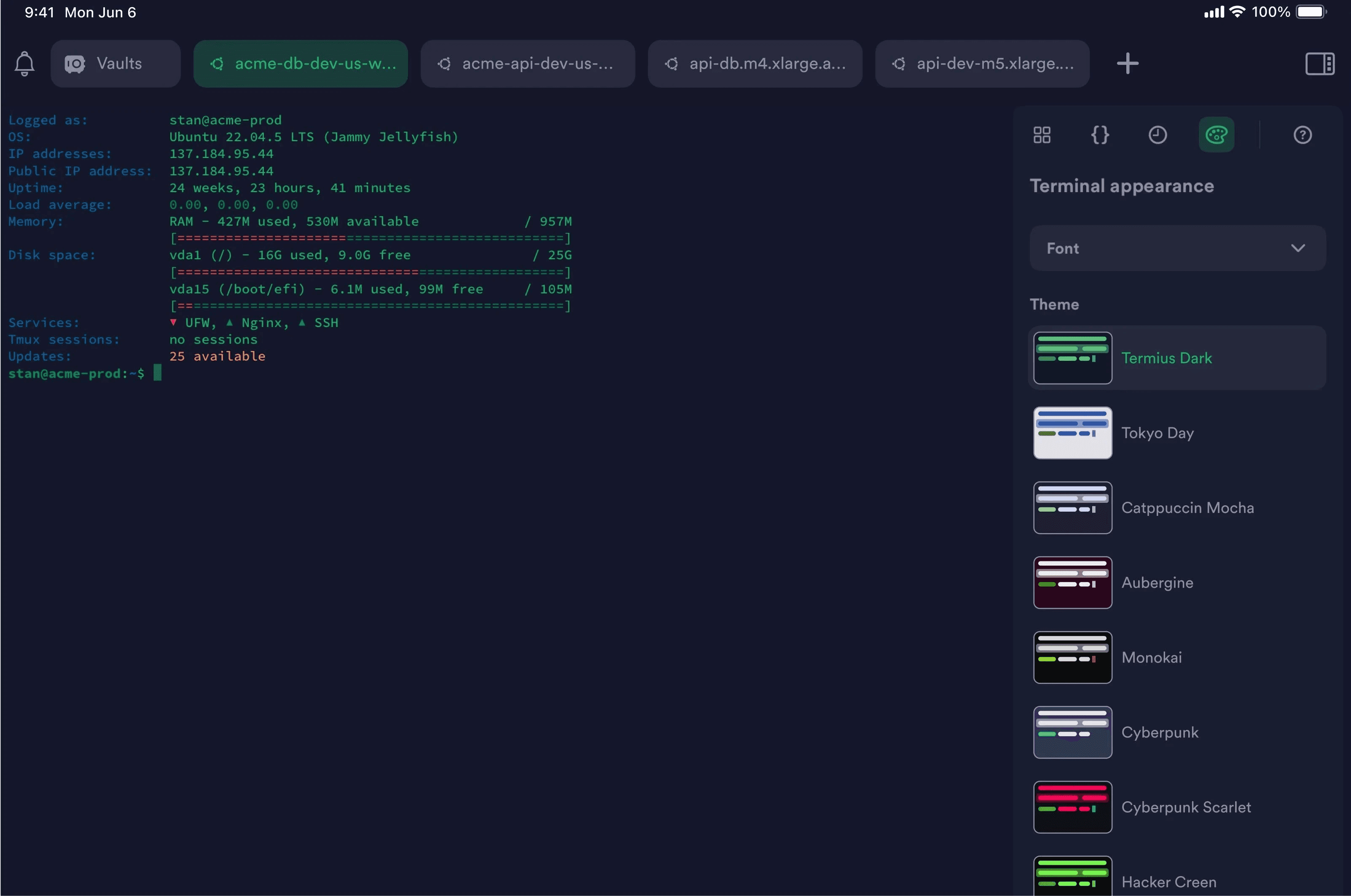 Free SSH Client for iPad