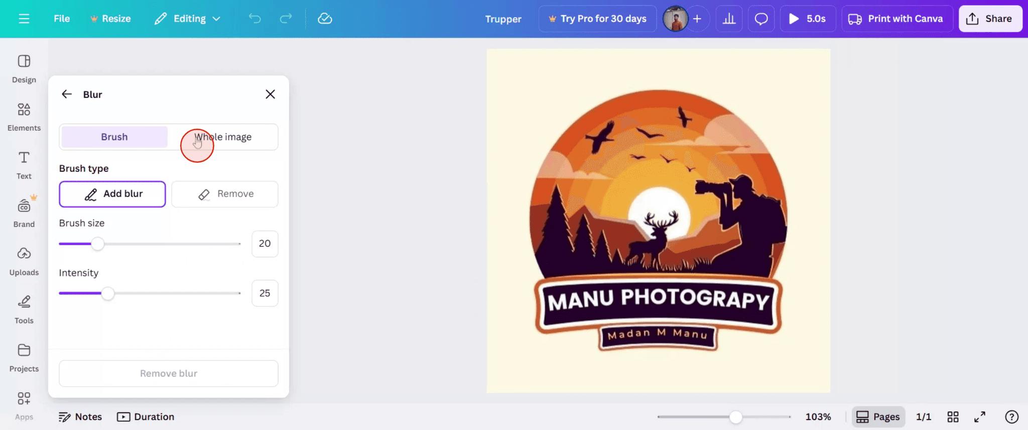 Wie man in Canva unscharf stellt