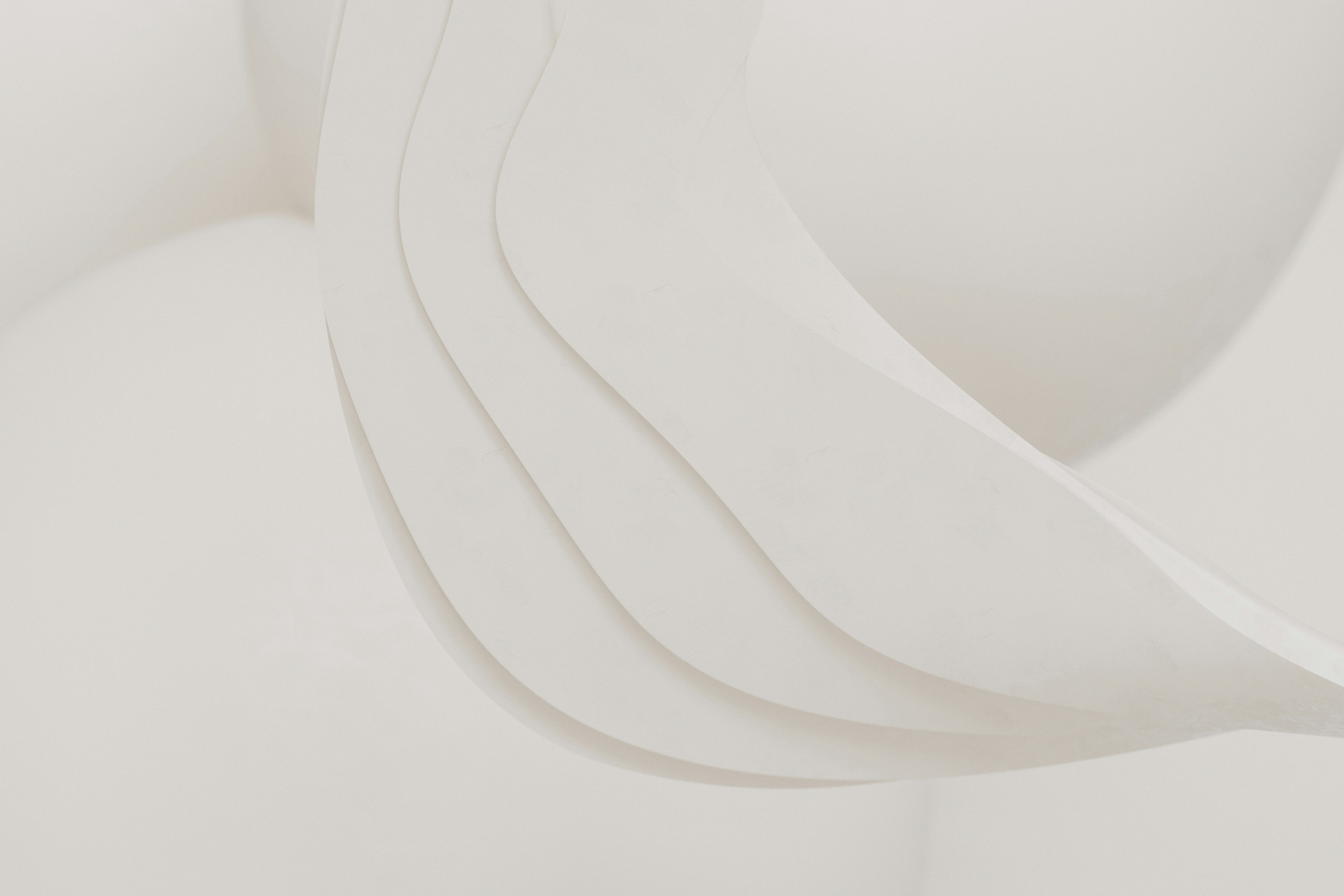 Disability Equals Ability