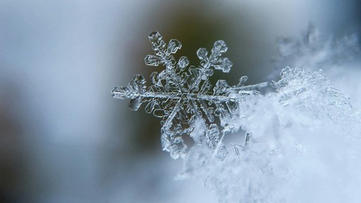 Winter Pressures in Healthcare | Newcross Healthcare