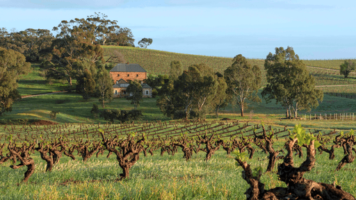 Torbreck Wines | Award-Winning Australian Wines available worldwide