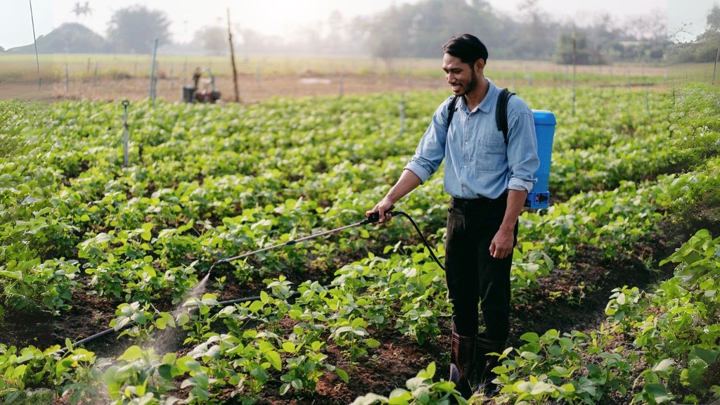 How Farmers Protect Their Crops?: Top Strategies - Leher