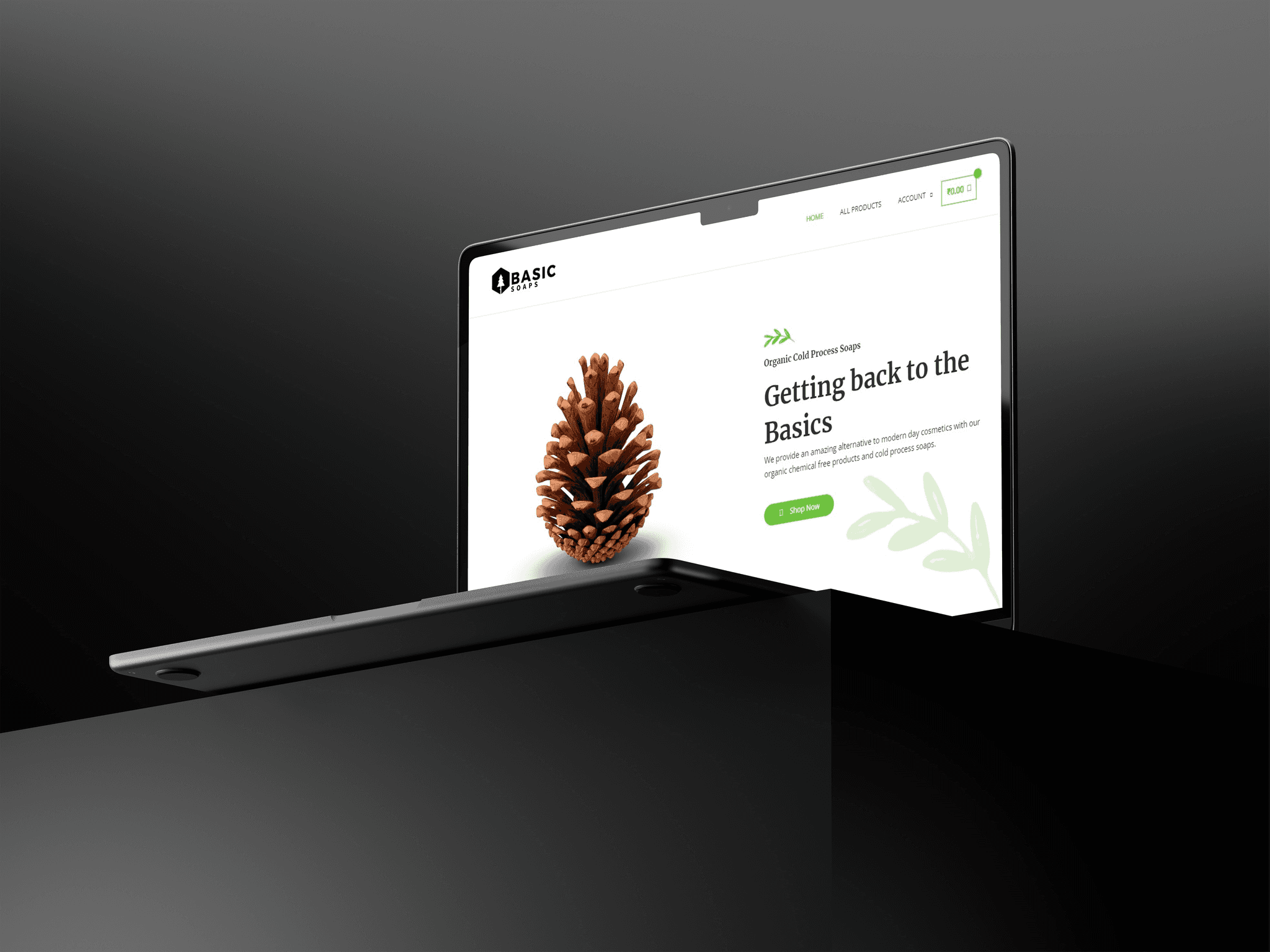 Web Design & Digital Marketing Agency - Web Impetus