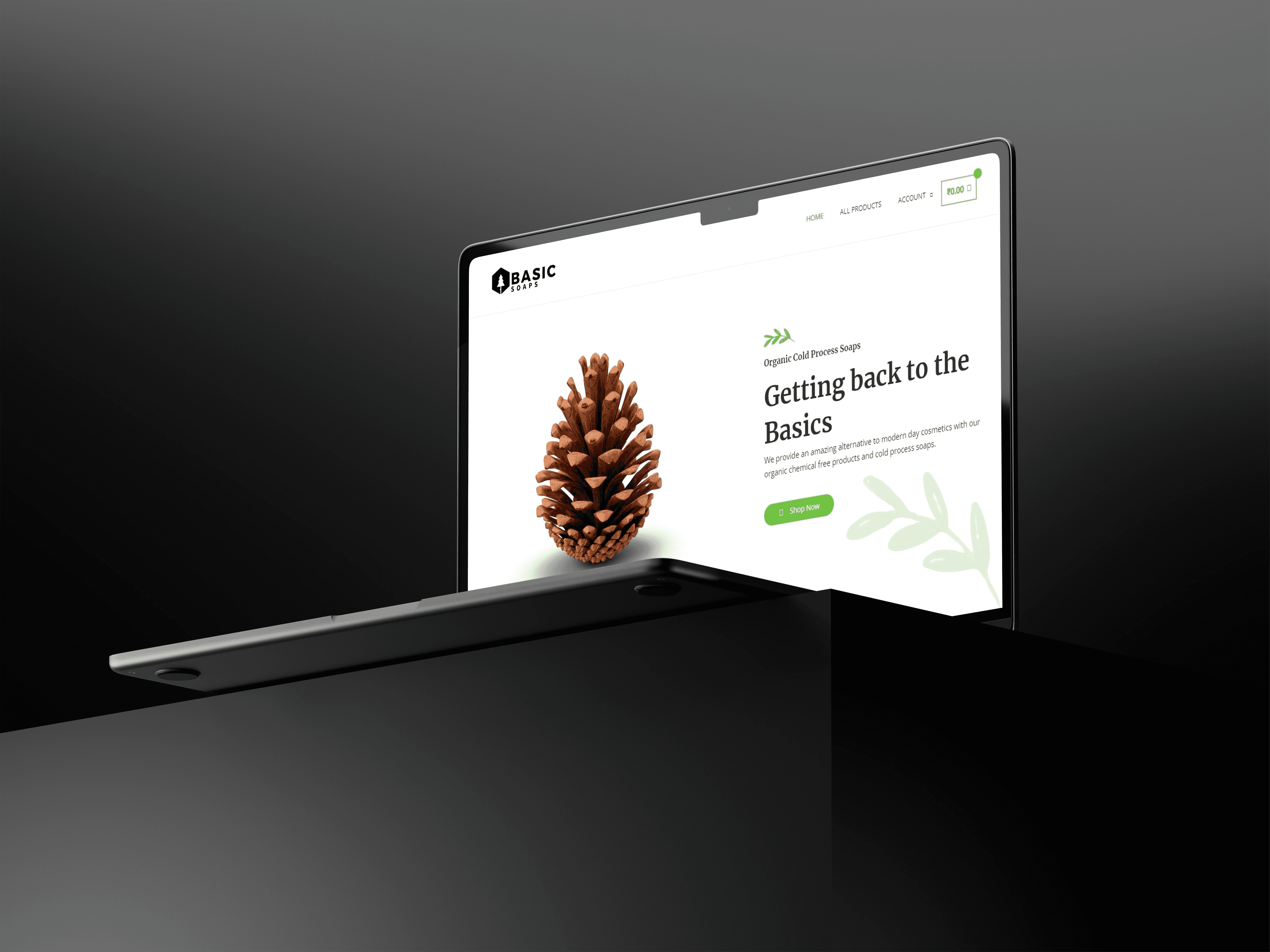 Web Design & Digital Marketing Agency - Web Impetus