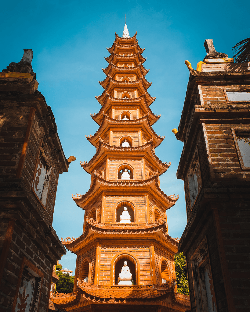 Louis Nguyen - Designer & Creator