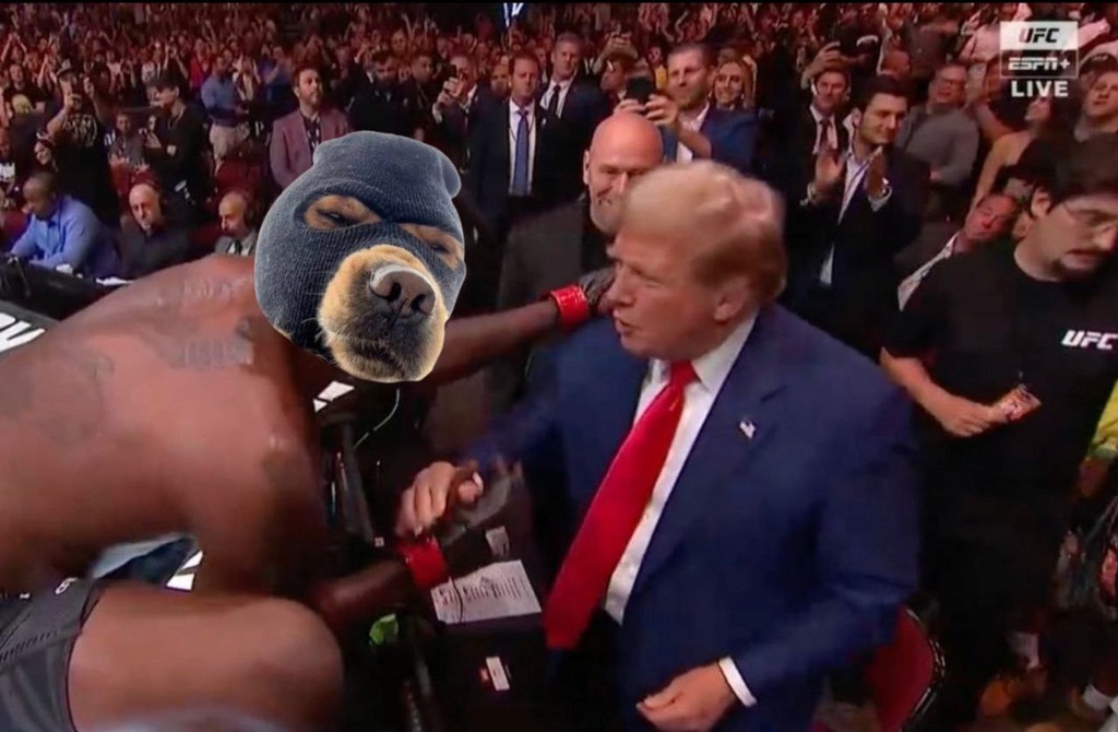 Ski Mask Dog