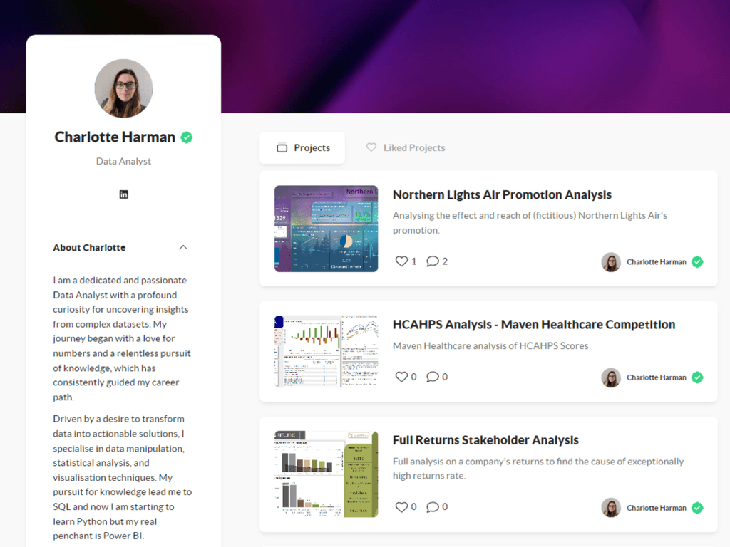 Analysts You Can Hire: Summer 2024 | Maven Analytics