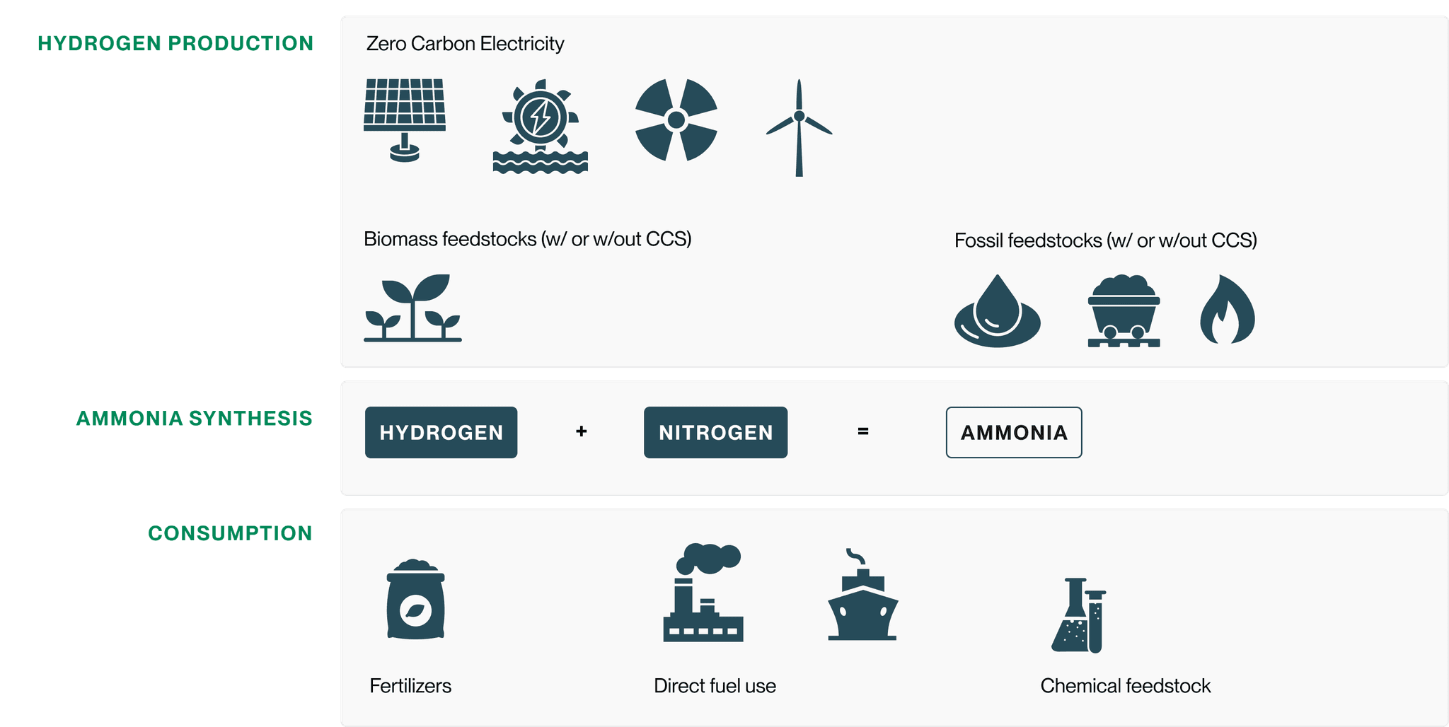 Ammonia: Today’s Imperative, Tomorrow’s Promise | Carbon Direct