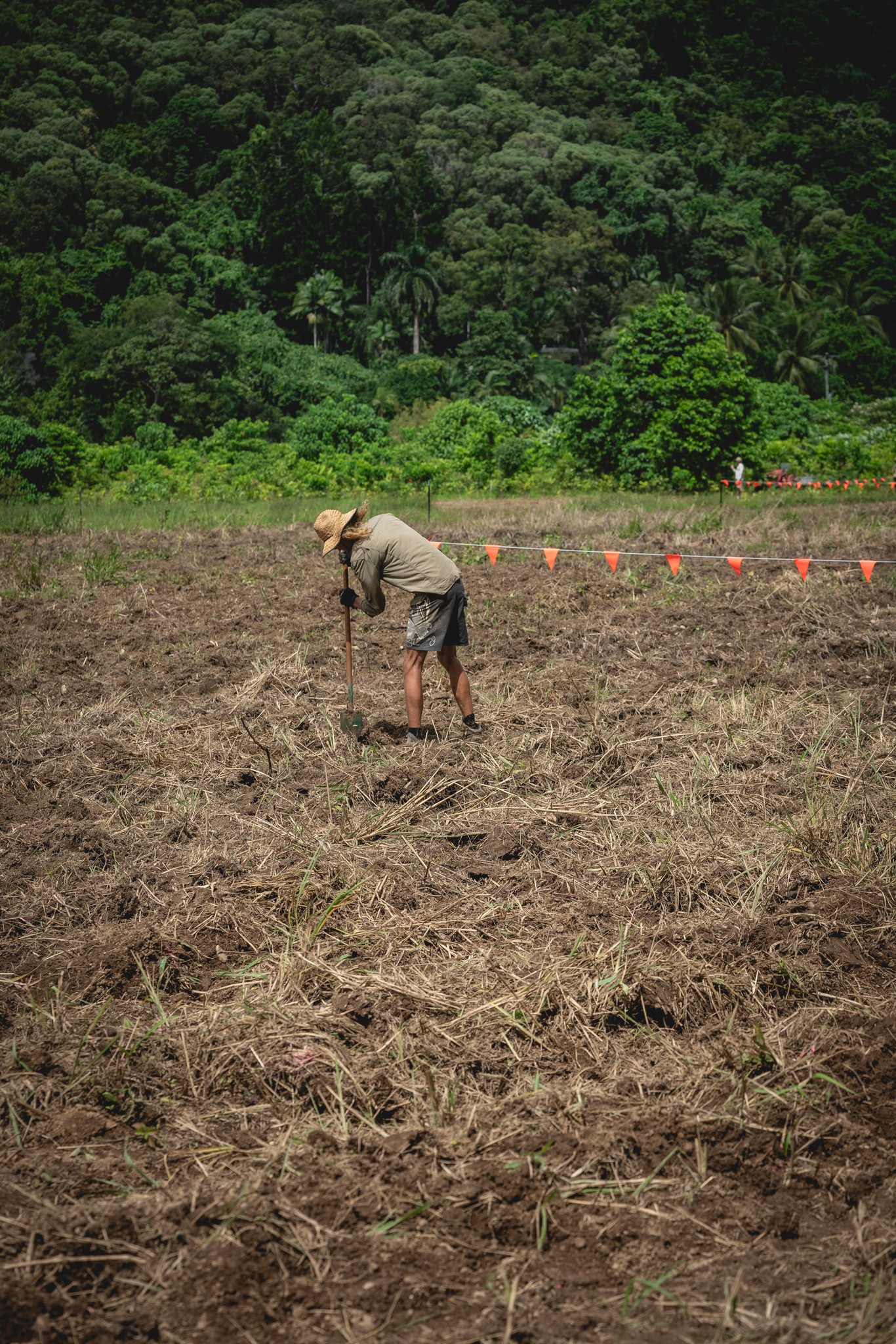 An ode to the Daintree Rainforest in Australia. - Restor | Global hub for nature restoration and ...