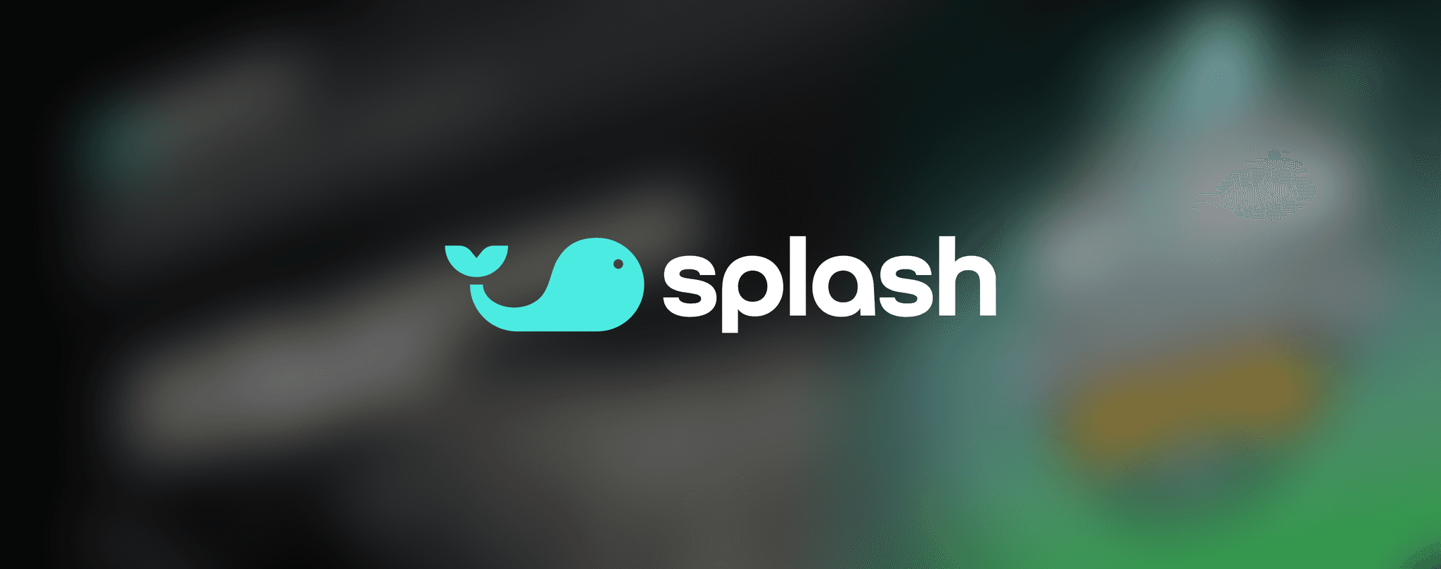 Learn About Splash Sports Ownership | Splash Sports