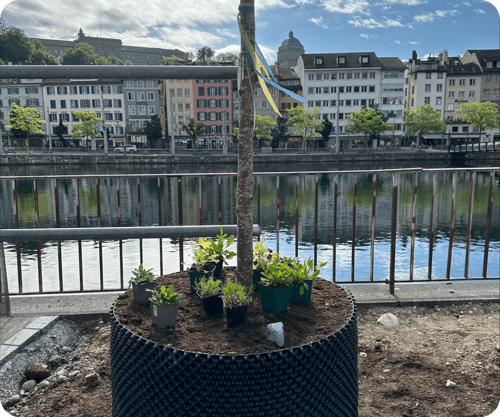Monitoring a green oasis with IoT in Zurich - akenza | Self-Service IoT Platform to Build Smart ...