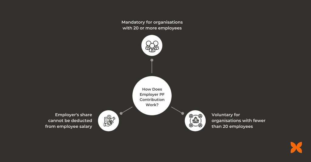 PF Contribution Breakup: Employer & Employee Share Explained with ...