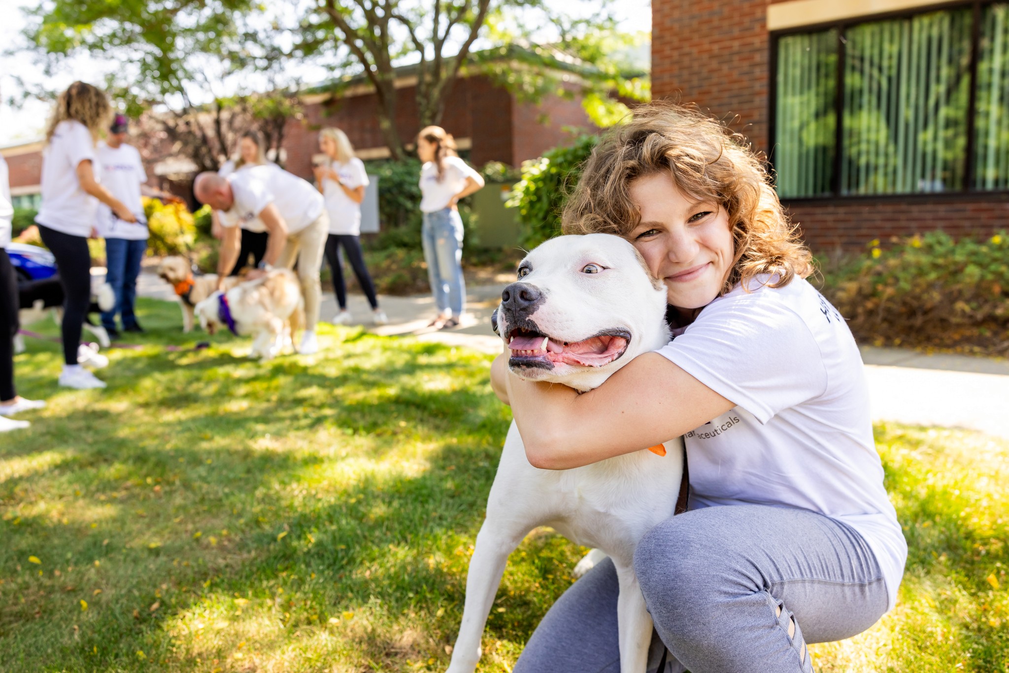 Torigen Pharmaceuticals | Veterinary Cancer Treatment