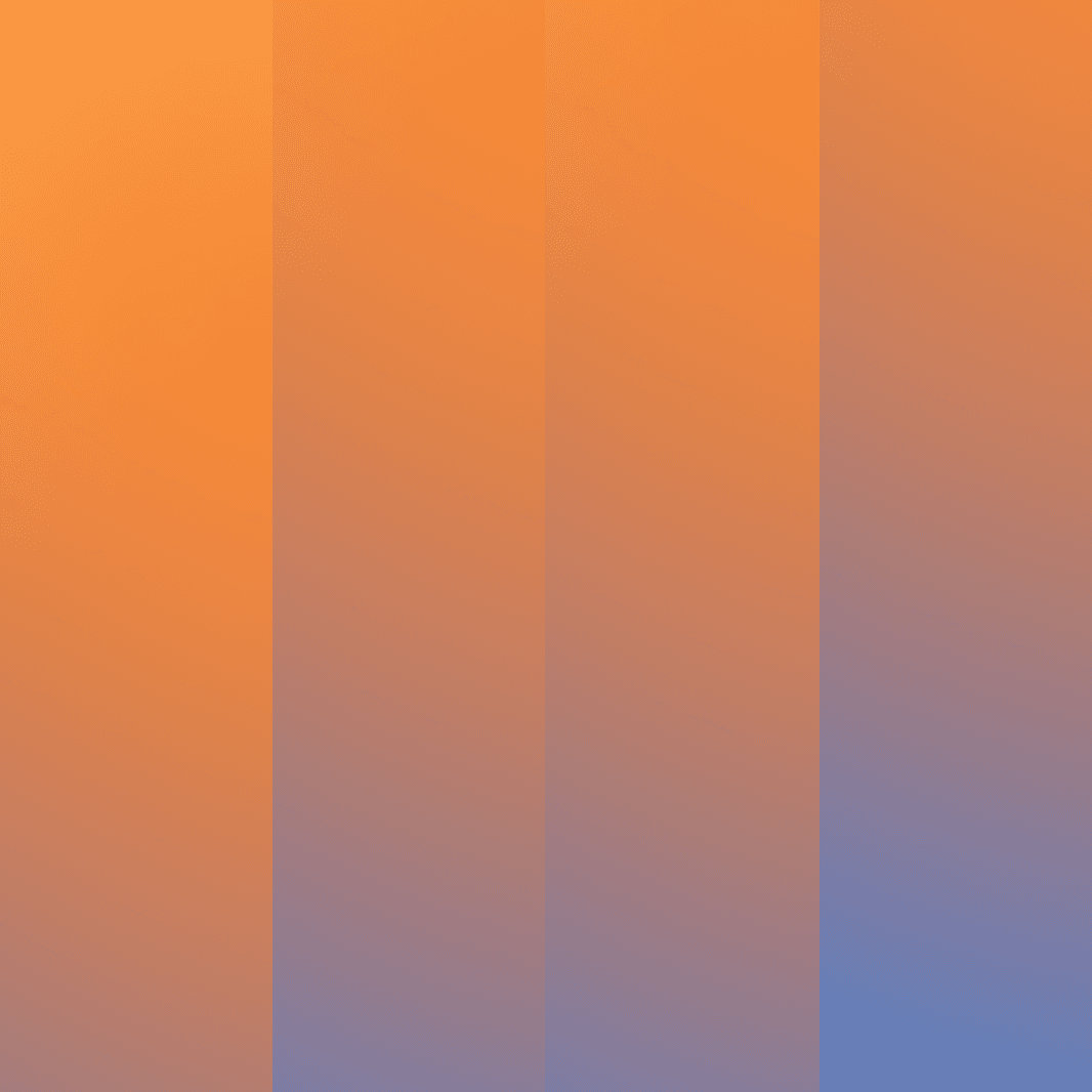 Aizip Vision Models - License Plate Recognition