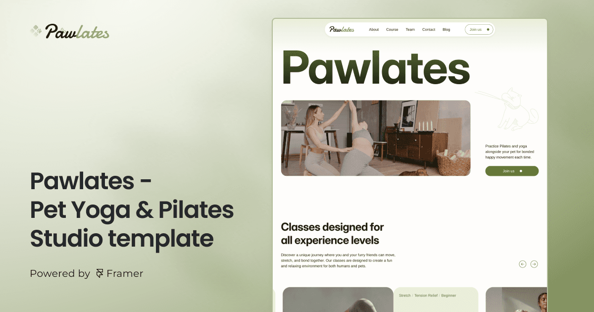Pawlates | Yoga & Pilates Studio