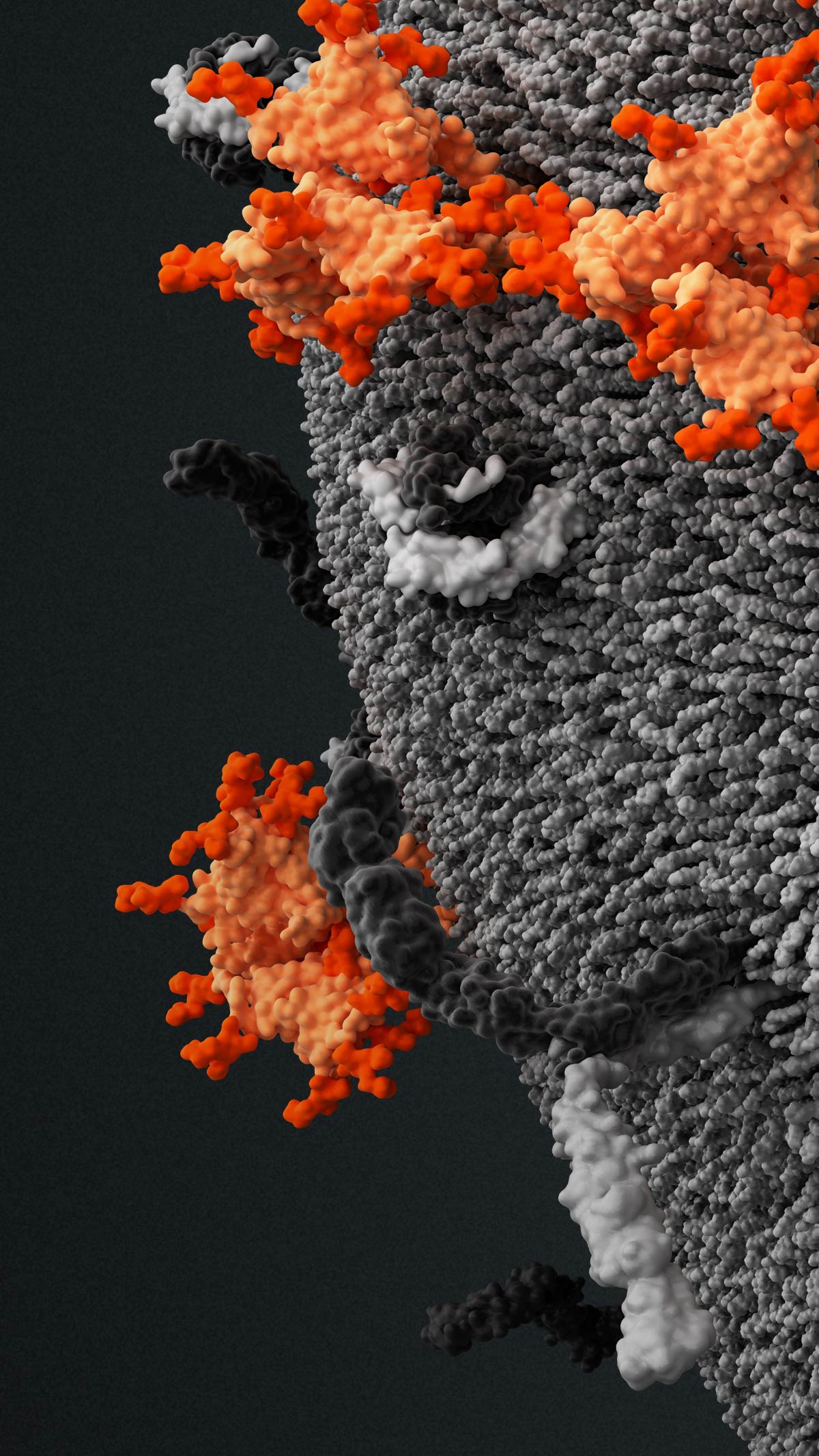 3D Animation HIV Molecular Structure Case Study | Visual Science