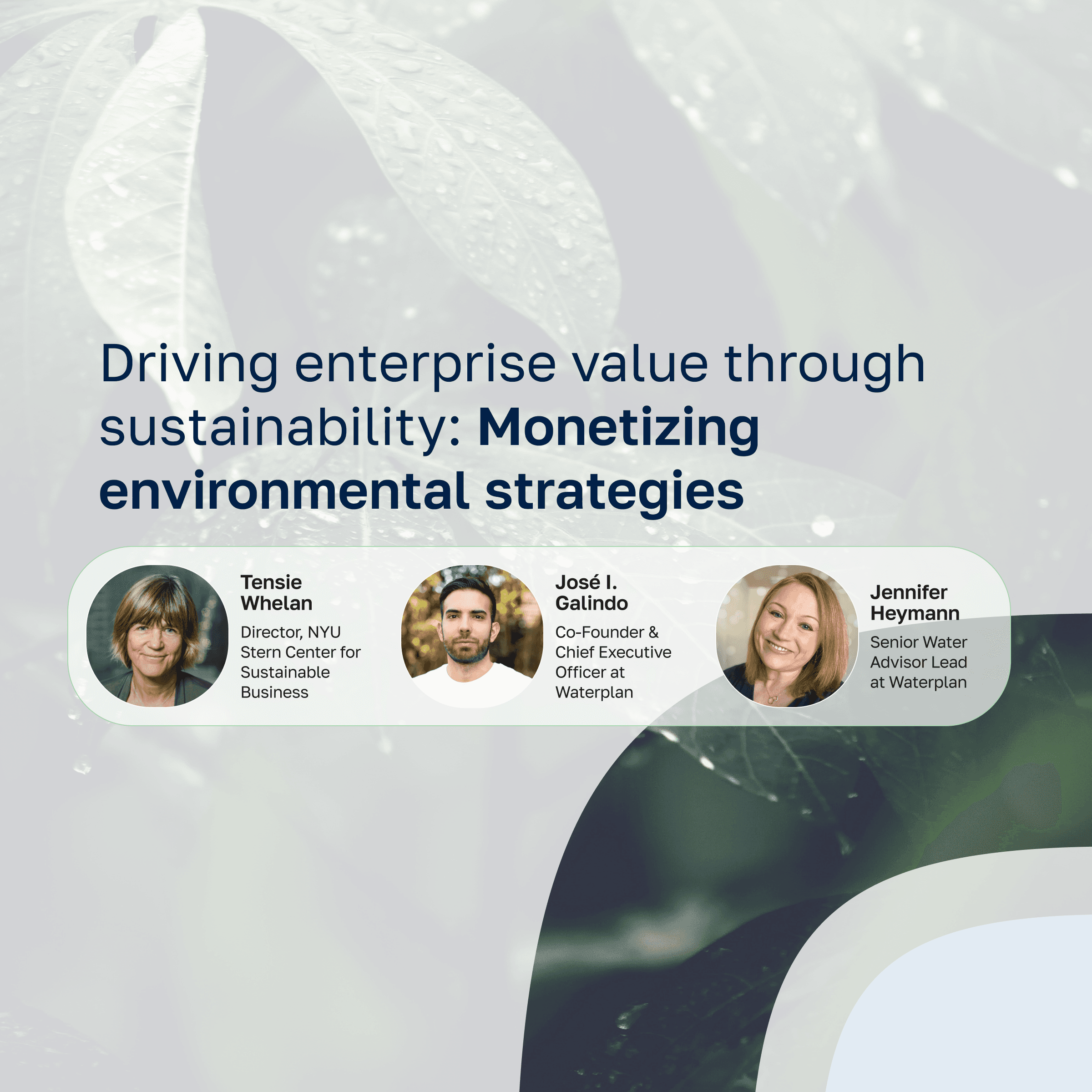 Driving Enterprise Value through Sustainability: Monetizing Environmental Strategies