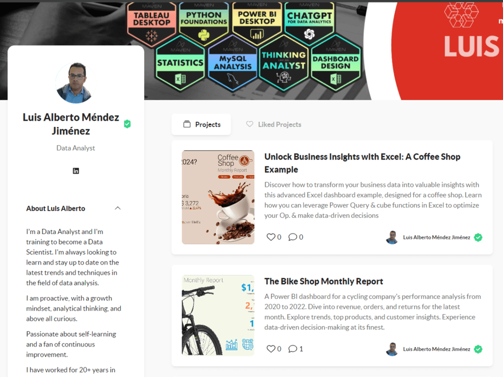 Analysts You Can Hire: Summer 2024 | Maven Analytics