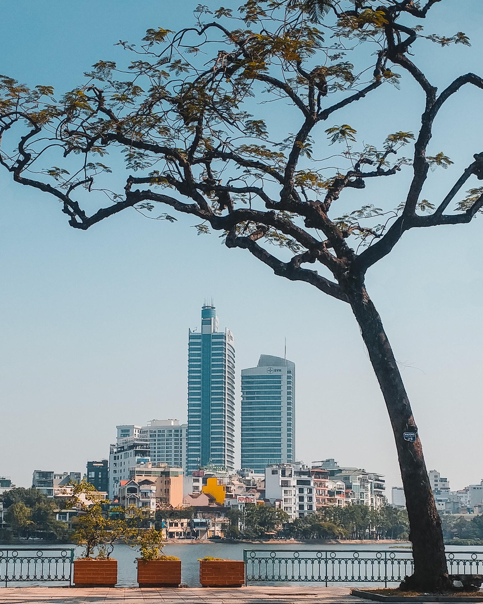 Louis Nguyen - Designer & Creator