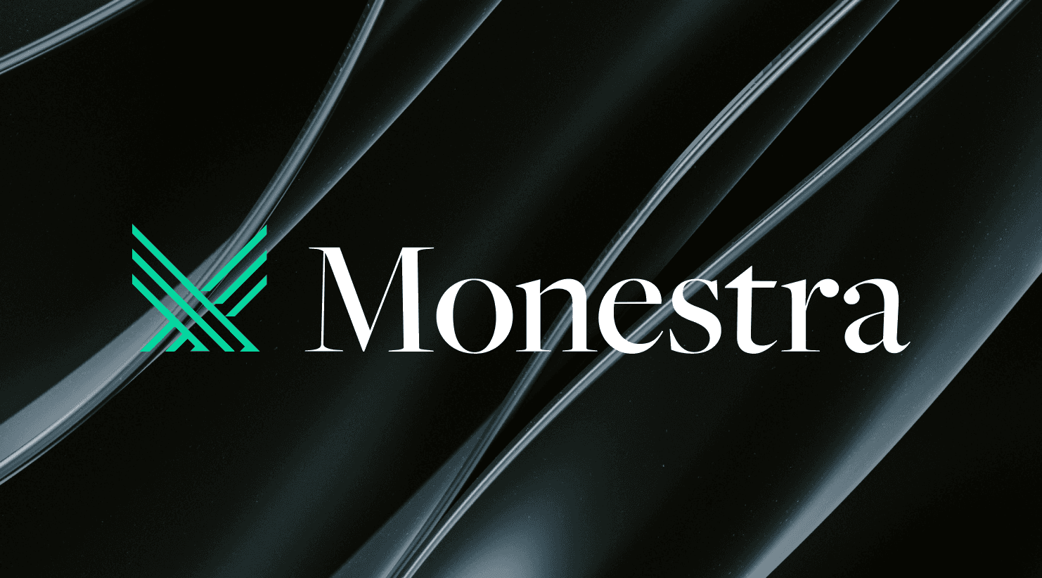 Monestra - Ihr Partner für finanzielle Sicherheit | Versicherungsberatung