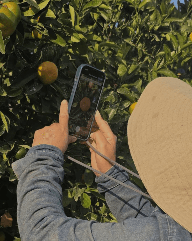 Aerobotics | Tecnología líder en previsión de rendimientos para ...