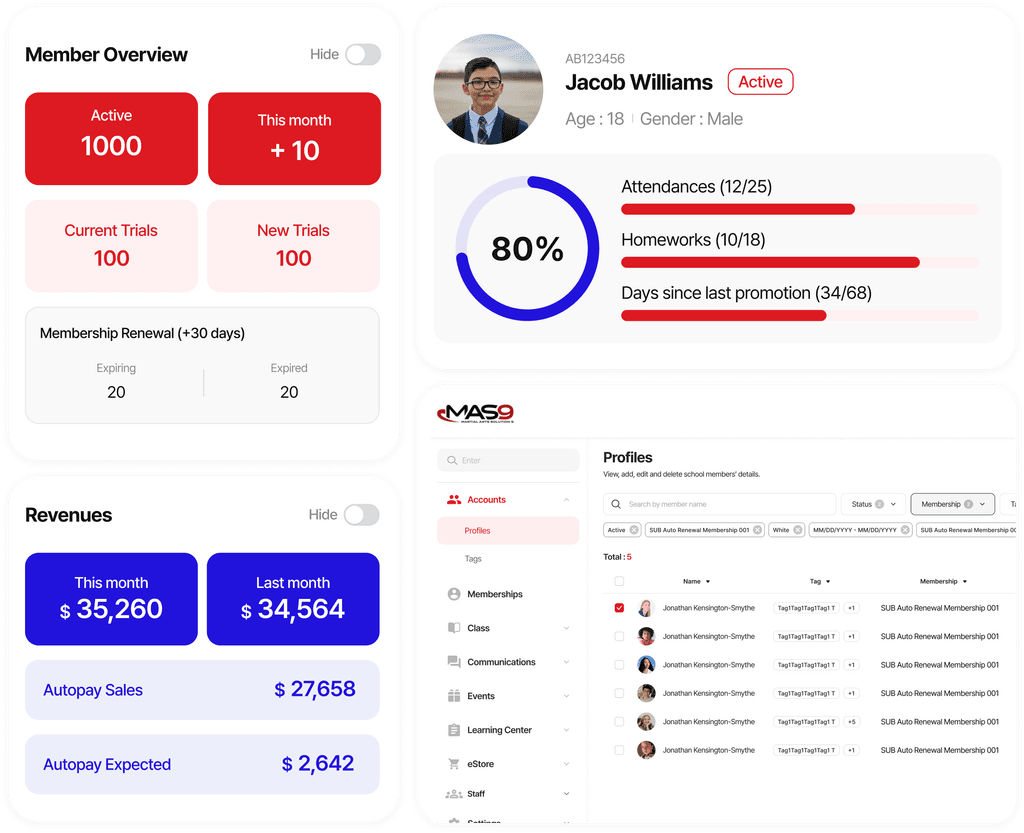 MAS9 — Smart Software for Martial Arts Schools