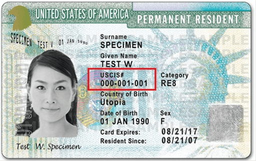 A Simple Guide: Where to Find Your Alien Registration Number