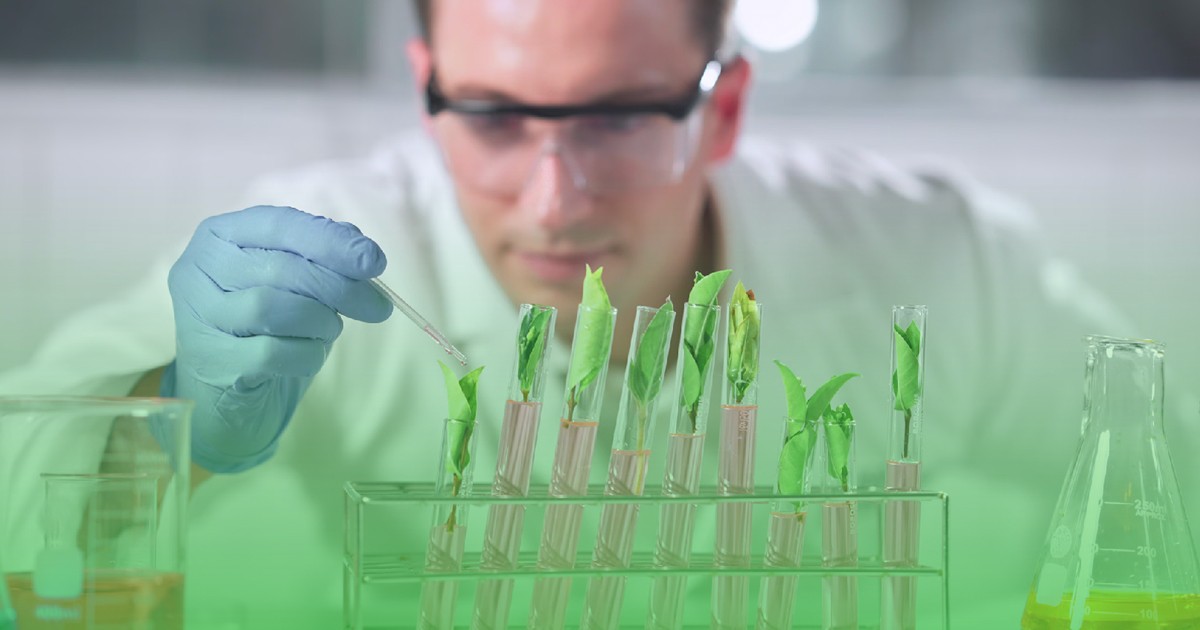 Masculine Endocrine Vector | Male Hormonal Architecture