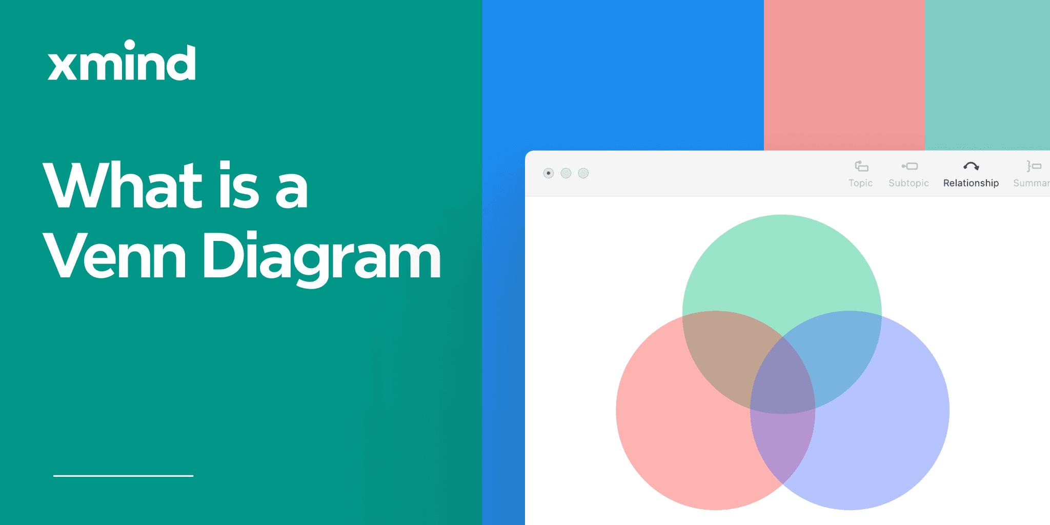 What Is a Venn Diagram: Definition, Applications, and Examples