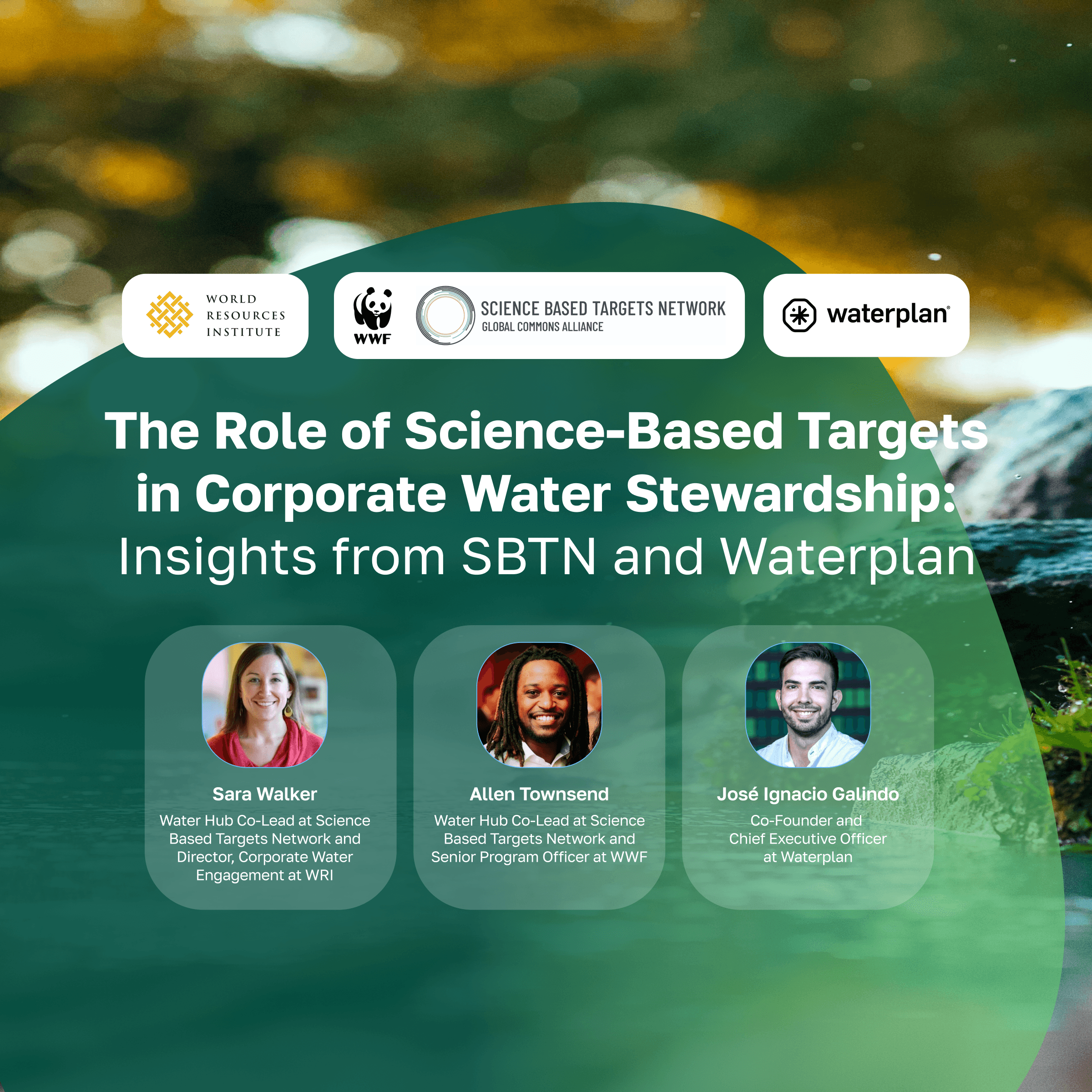The Role of Science-Based Targets in Corporate Water Stewardship ...