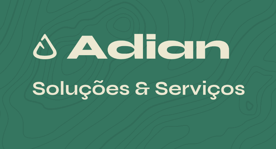 Adian - Gestão de metas e estratégica