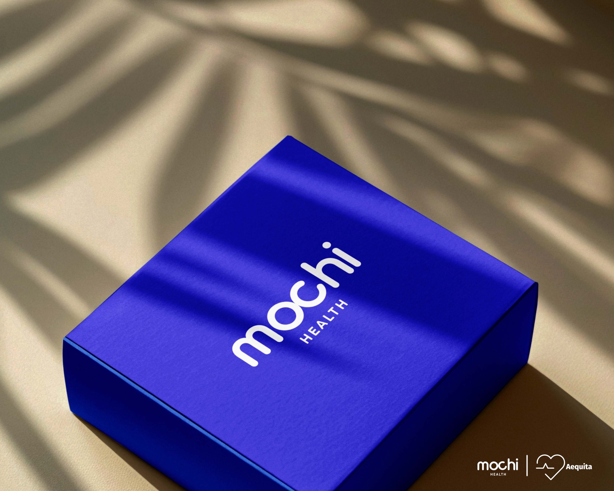 Meet Mochi Health, The Best Online Weight Loss Coach - Mochi Health