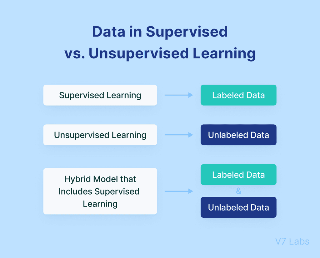 Supervised vs. Unsupervised Learning [Differences & Examples]