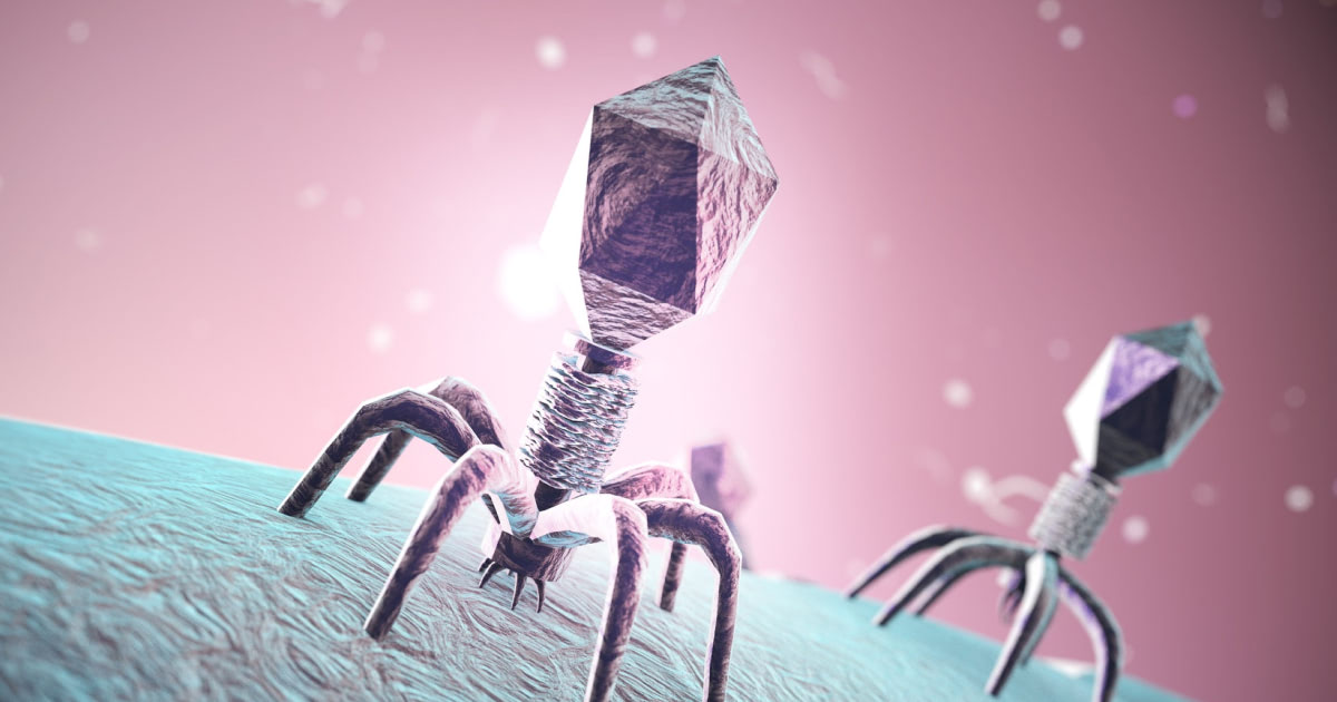 Power of Phages | PhagePro