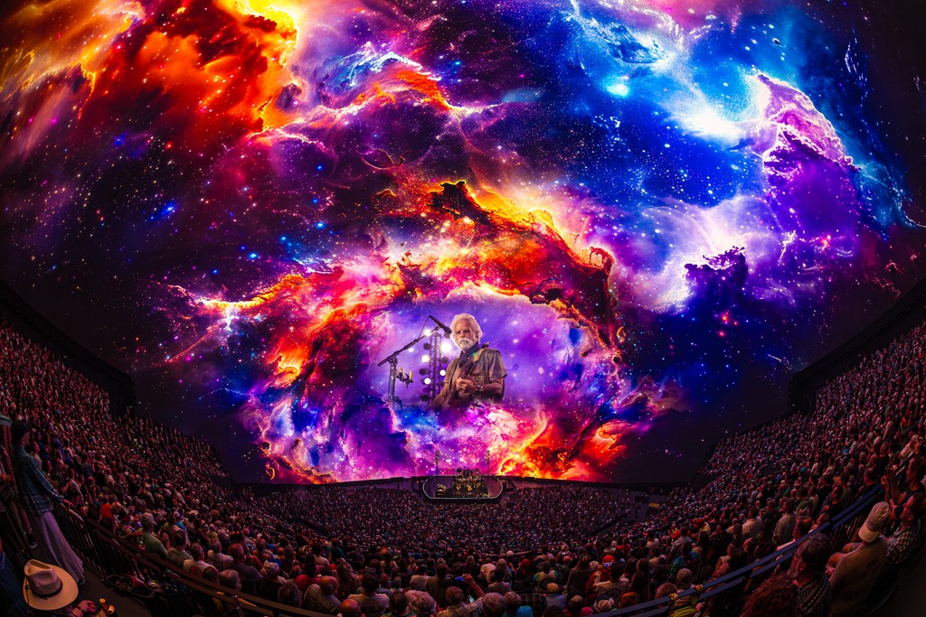 Dead & Company | Vibee