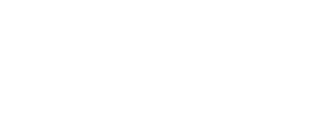 netorium AG – Kompetenzcenter und Technologiescout für die Medienindustrie