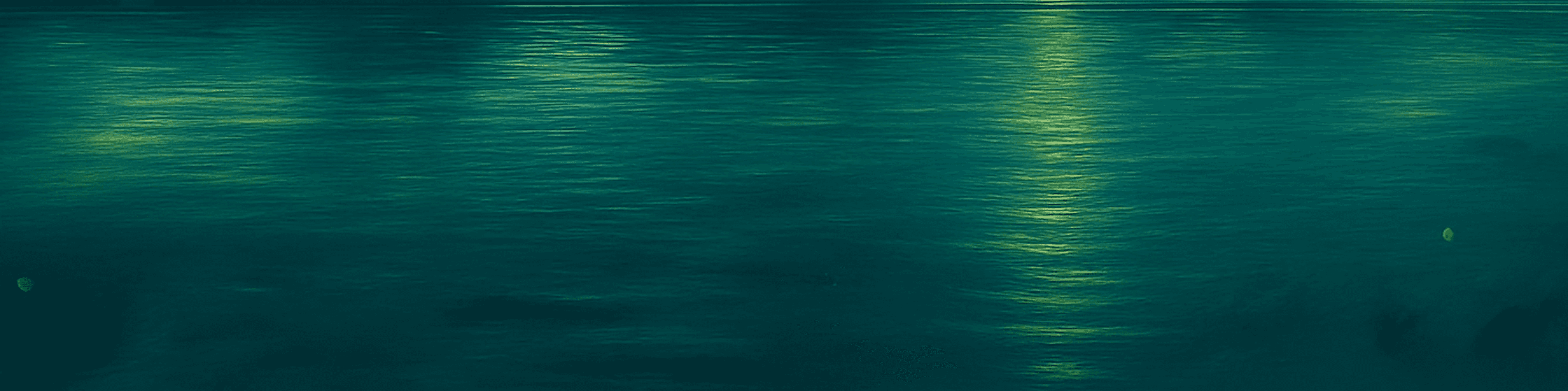 Bluefish AI