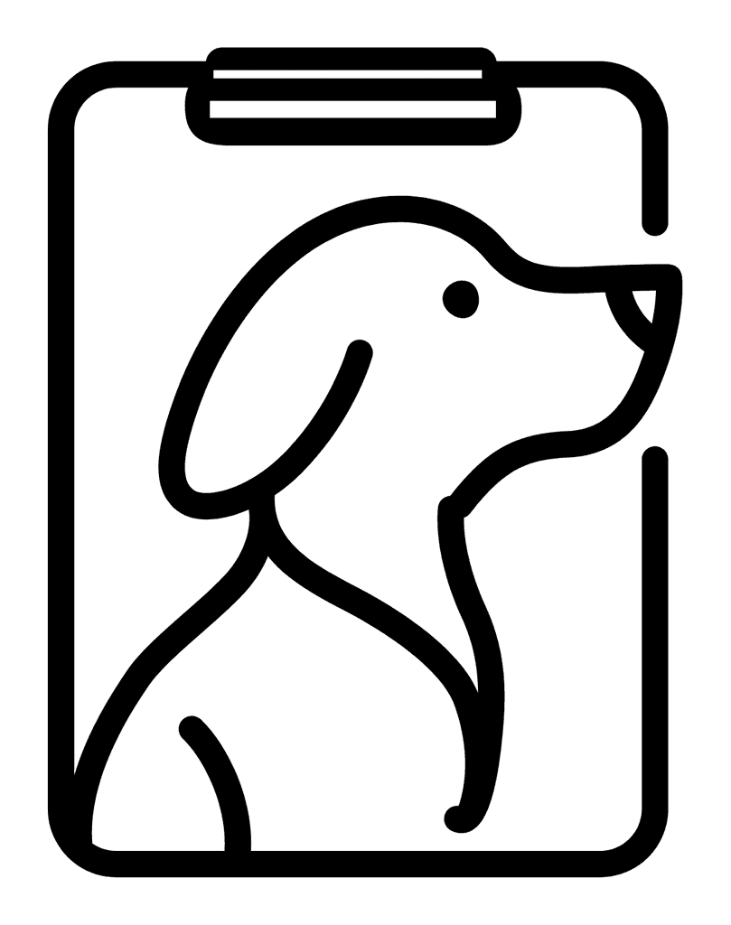 VetNotes - Automatic Notetaking for Vets