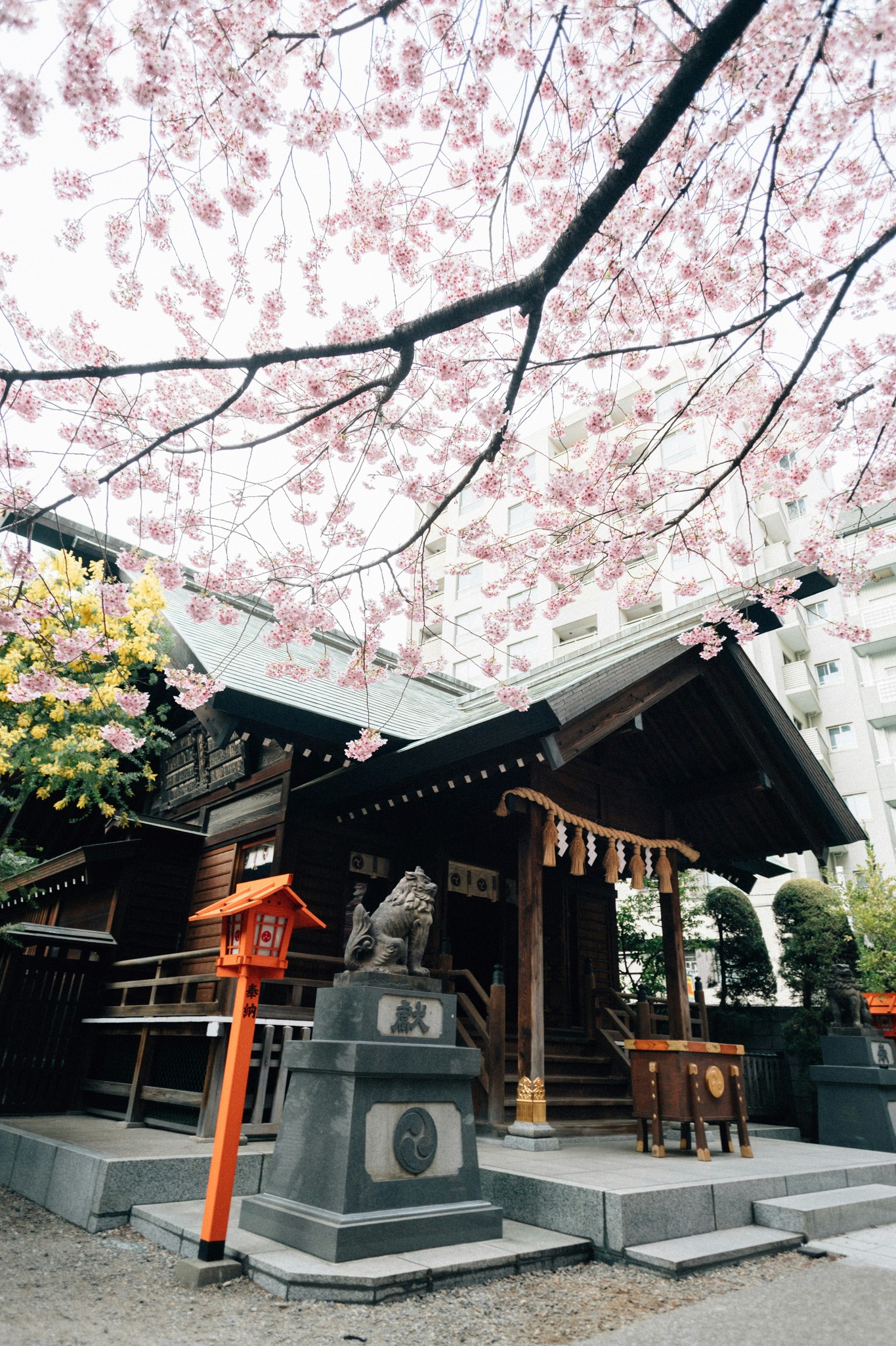 Realistic AI Avatars for Video Ads | 370+ Digital Avatars