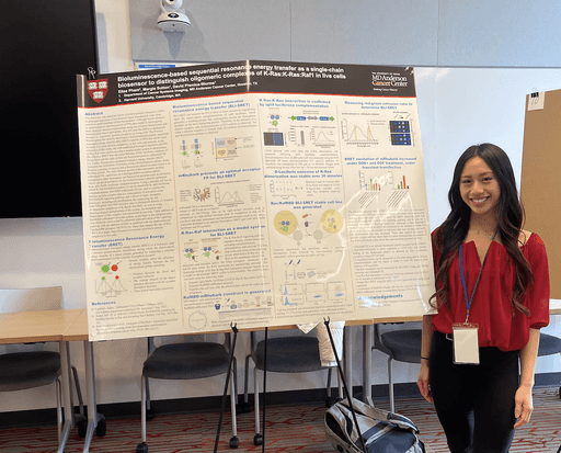 Ultimate Ivy League Guide