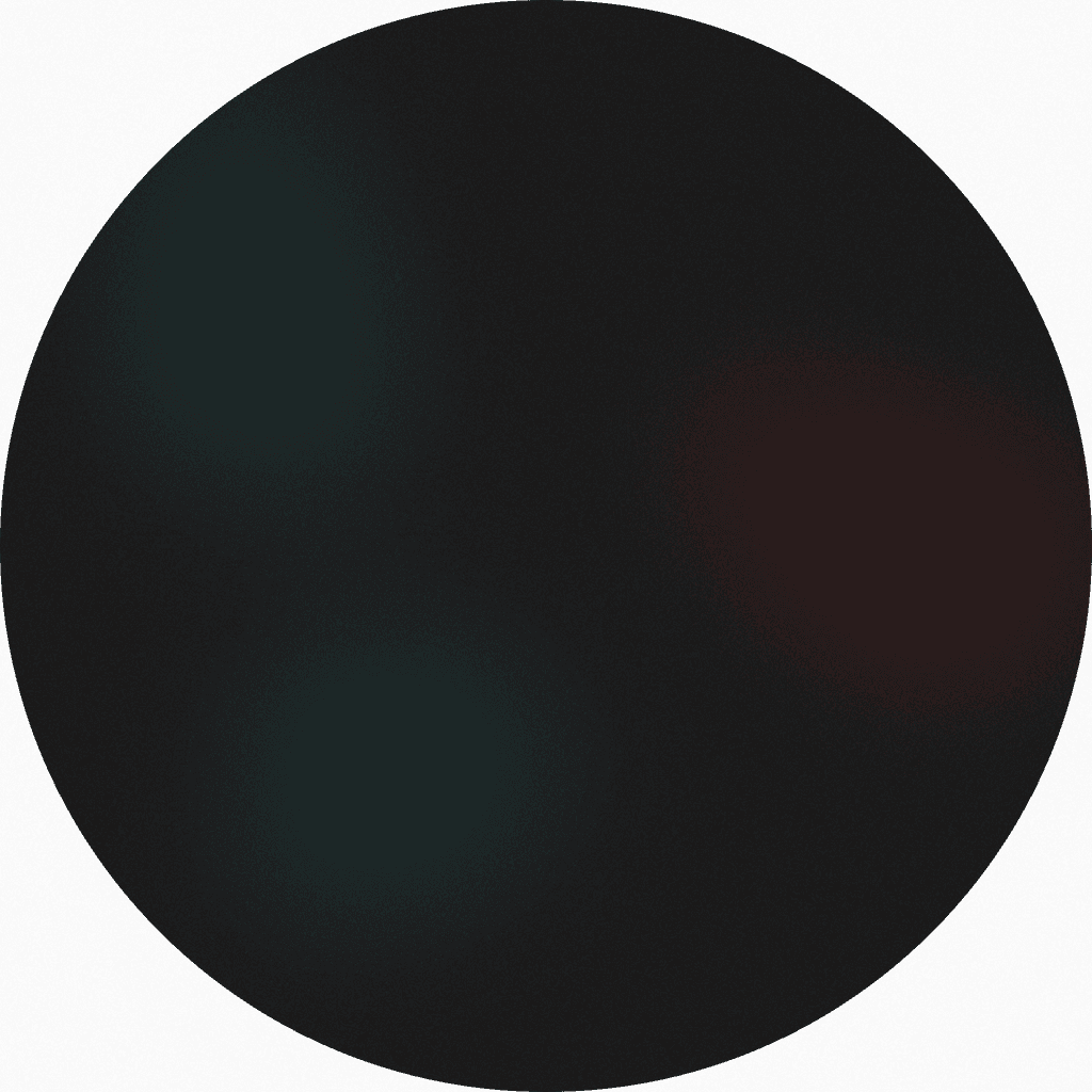 WordTalk - Language Learning App - Learn Vocabulary with Video Flashcards