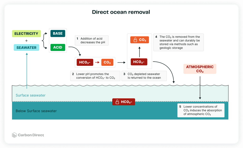 Marine carbon dioxide removal: What it is and how it works | Carbon Direct