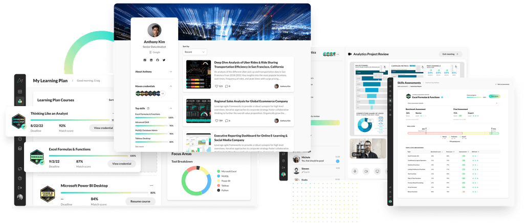 Cohort Learning | Maven Analytics